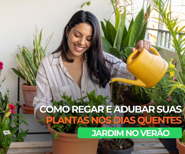 Jardim no Verão: Como regar e adubar suas plantas nos dias quentes ...